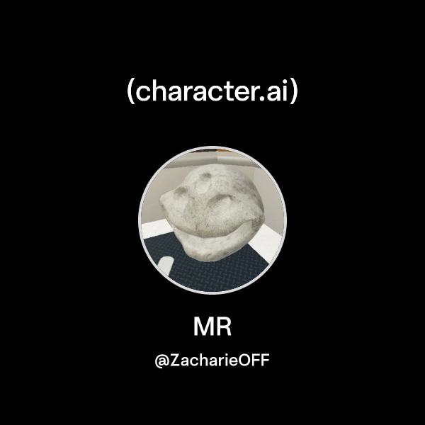 Chat with MR | character.ai | Personalized AI for every moment of your day
