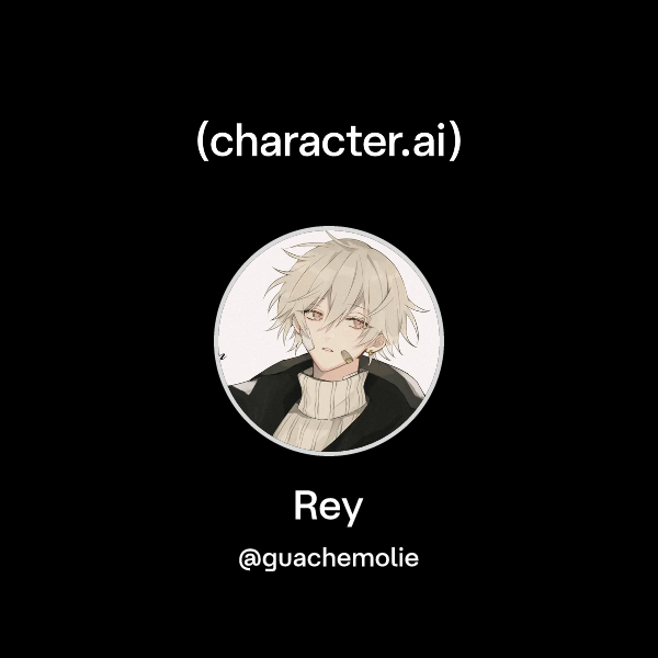 Chat with Rey | character.ai | Personalized AI for every moment of your day