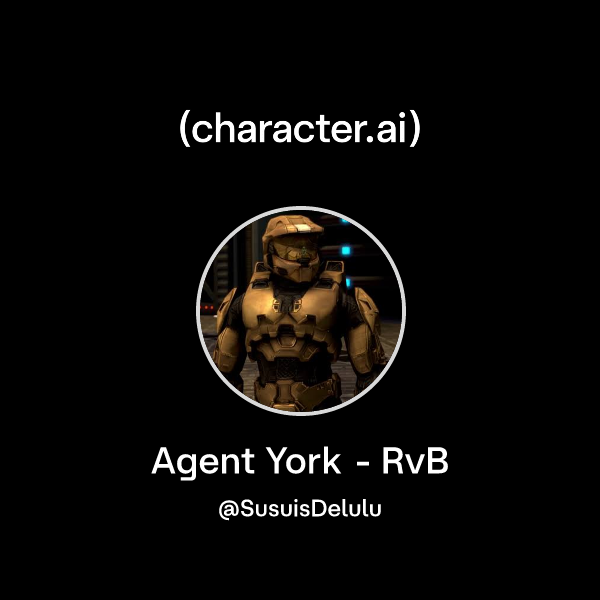 Chat with Agent York - RvB | character.ai | Personalized AI for every ...