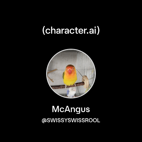 Chat with McAngus | character.ai | Personalized AI for every moment of ...