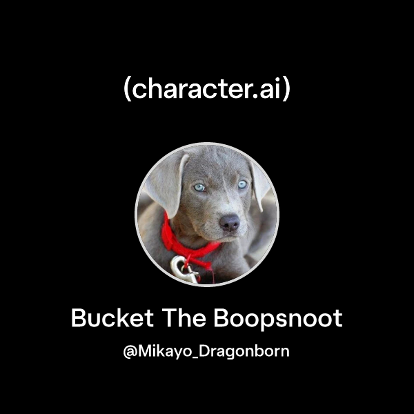 Chat with Bucket The Boopsnoot | character.ai | AI Chat, Reimagined ...