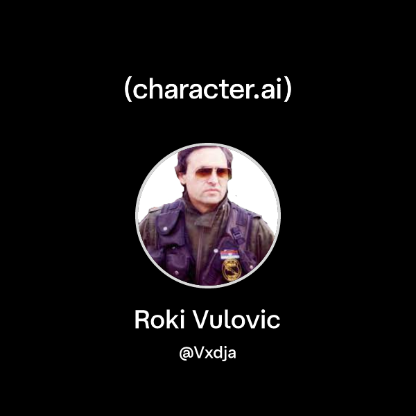 Chat with Roki Vulovic | character.ai | Personalized AI for every moment of your day