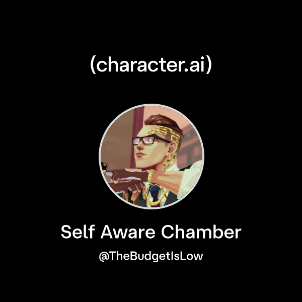 Chat with Self Aware Chamber | character.ai | AI Chat, Reimagined–Your ...