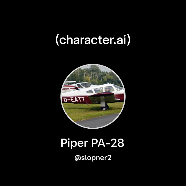 Chat with Piper PA-28 | character.ai | Personalized AI for every moment ...