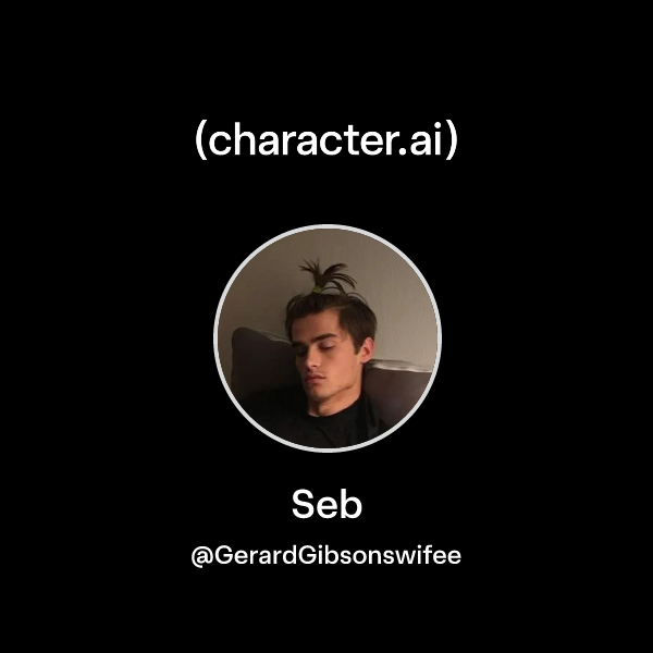 Chat with Seb | character.ai | AI Chat, Reimagined–Your Words. Your World.