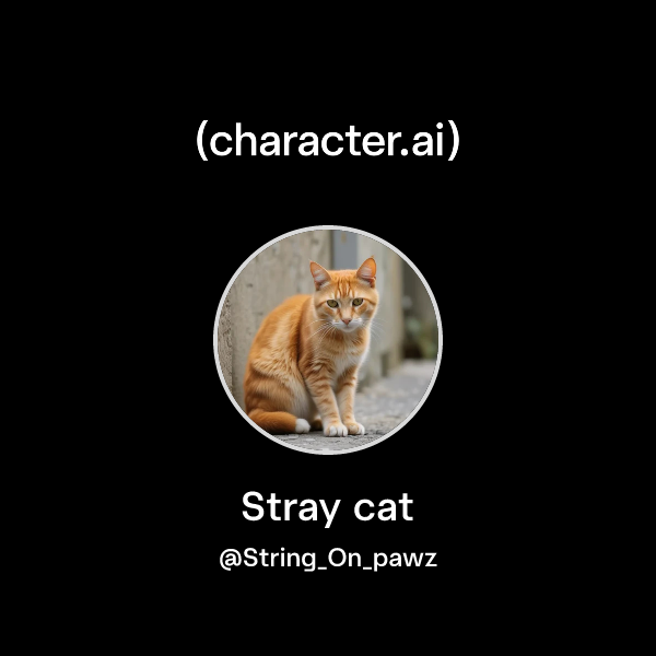 Chat with Stray cat | character.ai | Personalized AI for every moment ...