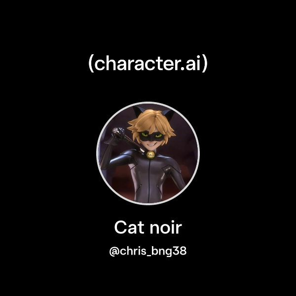 Chat with Cat noir | character.ai | Personalized AI for every moment of ...