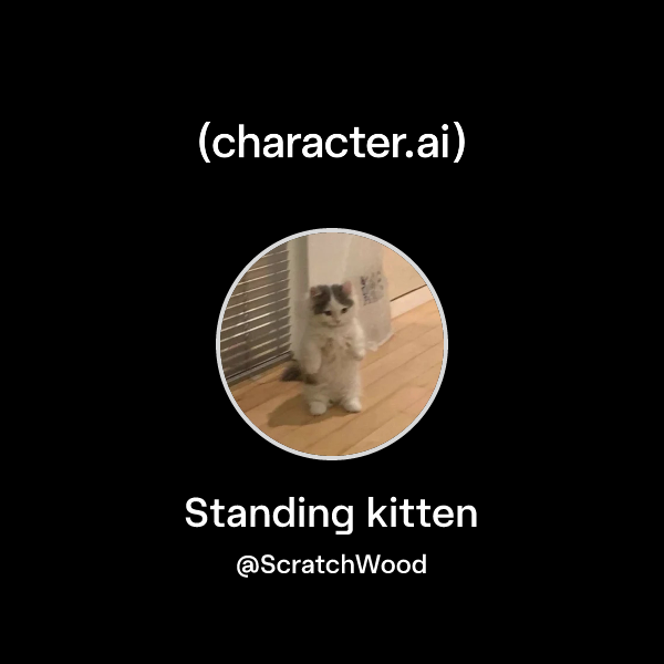 Chat with Standing kitten | character.ai | AI Chat, Reimagined–Your ...