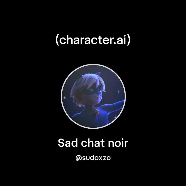 Chat with Sad chat noir | character.ai | AI Chat, Reimagined–Your Words ...