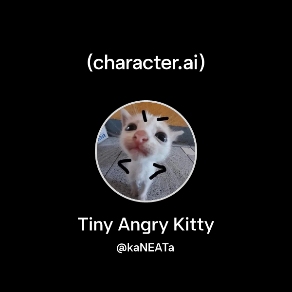 Chat with Tiny Angry Kitty | character.ai | Personalized AI for every ...