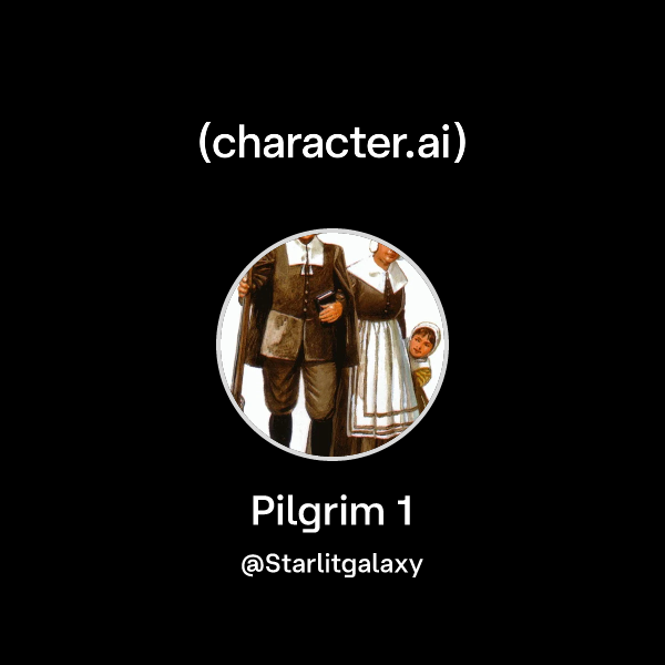 Chat with Pilgrim 1 | character.ai | AI Chat, Reimagined–Your Words ...