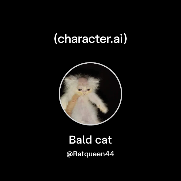 Chat with Bald cat | character.ai | AI Chat, Reimagined–Your Words ...