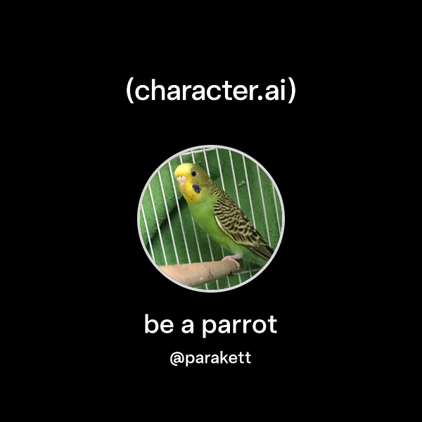 Chat with be a parrot | character.ai | Personalized AI for every moment ...