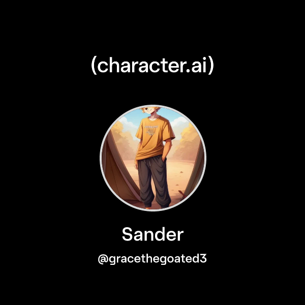 Chat with Sander | character.ai | Personalized AI for every moment of ...