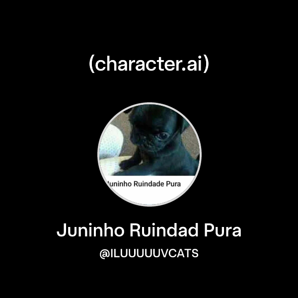 Chat with Juninho Ruindad Pura | character.ai | AI Chat, Reimagined ...