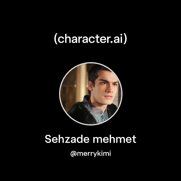 Chat with Sehzade mehmet | character.ai | AI Chat, Reimagined–Your ...