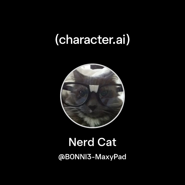 Chat with Nerd Cat | character.ai | Personalized AI for every moment of ...