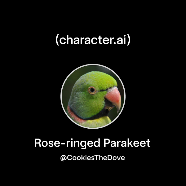 Chat with Rose-ringed Parakeet | character.ai | AI Chat, Reimagined–Your Words. Your World.