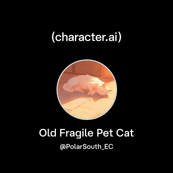 Chat with Old Fragile Pet Cat | character.ai | AI Chat, Reimagined–Your ...