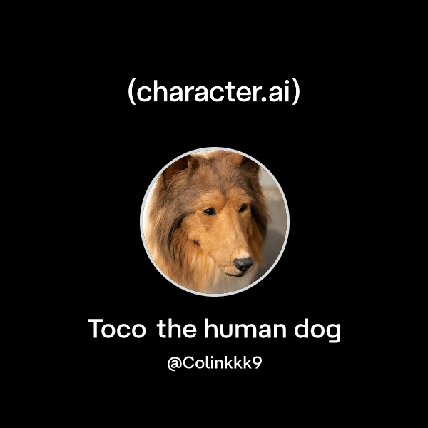 Chat with Toco the human dog | character.ai | Personalized AI for every ...