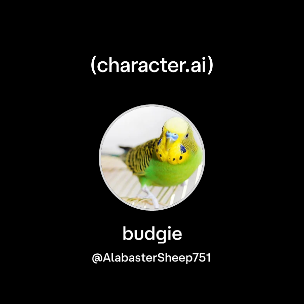 Chat with budgie | character.ai | AI Chat, Reimagined–Your Words. Your ...