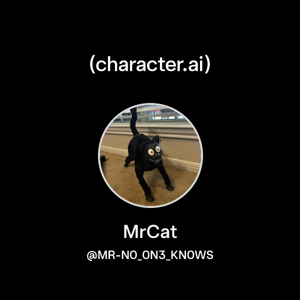 Chat with MrCat | character.ai | Personalized AI for every moment of ...