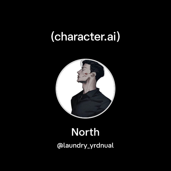 Chat with North | character.ai | AI Chat, Reimagined–Your Words. Your ...