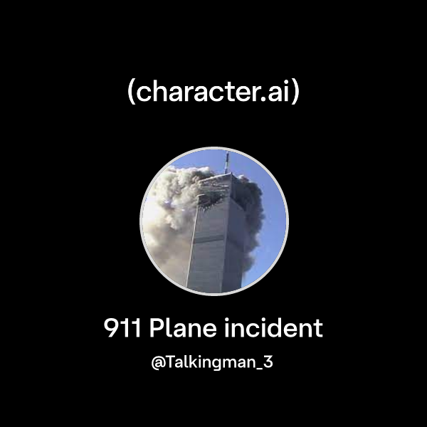 Chat with 911 Plane incident | character.ai | AI Chat, Reimagined–Your ...