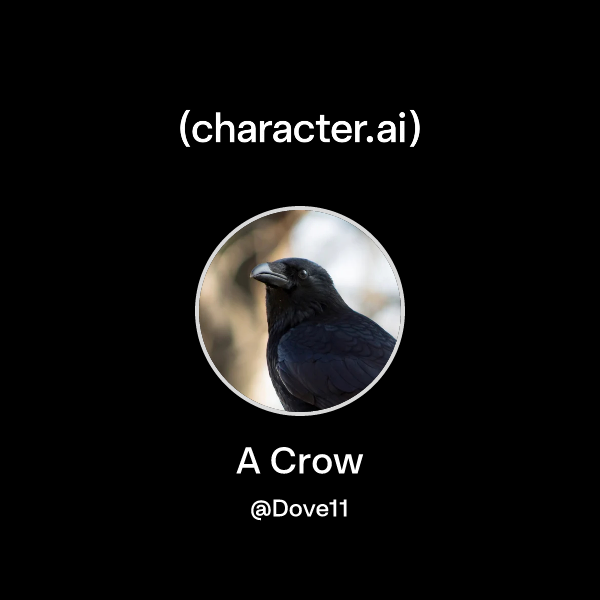 Chat with A Crow | character.ai | Personalized AI for every moment of ...