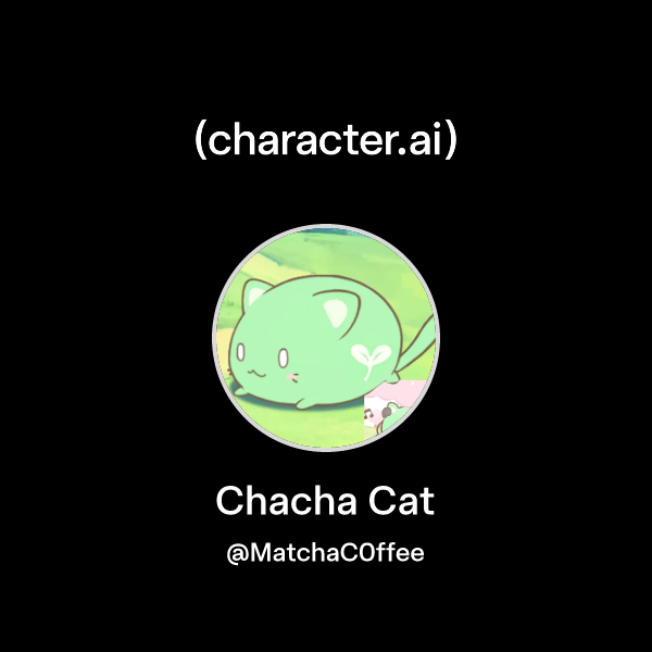 Chat with Chacha Cat | character.ai | Personalized AI for every moment ...