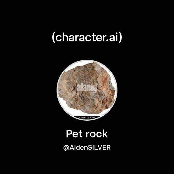 Chat with Pet rock | character.ai | AI Chat, Reimagined–Your Words ...