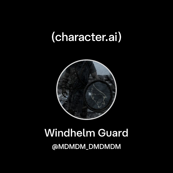 Chat with Windhelm Guard | character.ai | Personalized AI for every ...