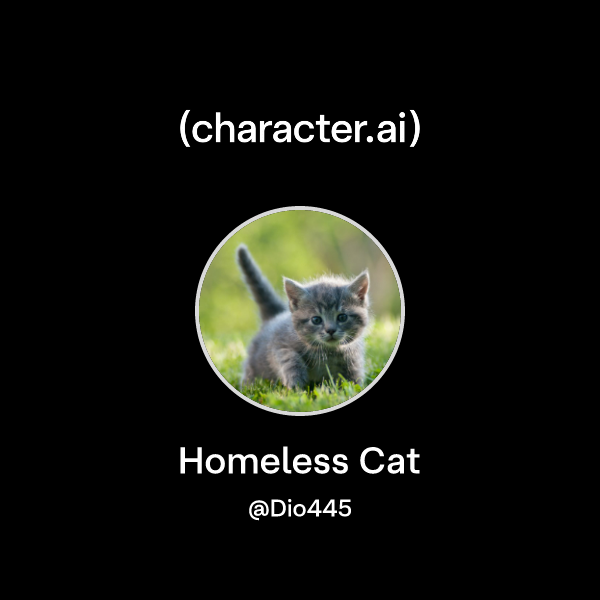 Chat with Homeless Cat | character.ai | AI Chat, Reimagined–Your Words ...