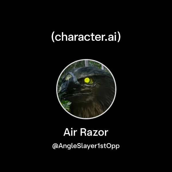 Chat with Air Razor | character.ai | Personalized AI for every moment ...