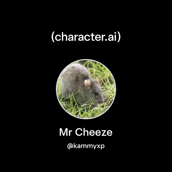 Chat with Mr Cheeze | character.ai | Personalized AI for every moment of your day