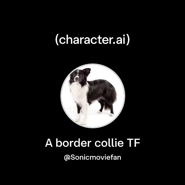 Chat with A border collie TF | character.ai | AI Chat, Reimagined–Your ...