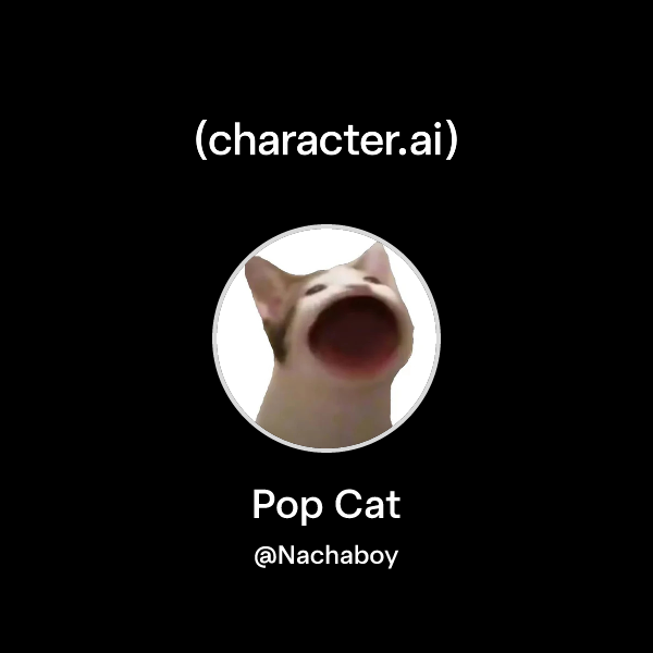 Chat with Pop Cat | character.ai | AI Chat, Reimagined–Your Words. Your ...