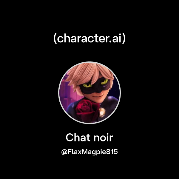 Chat with Chat noir | character.ai | AI Chat, Reimagined–Your Words ...
