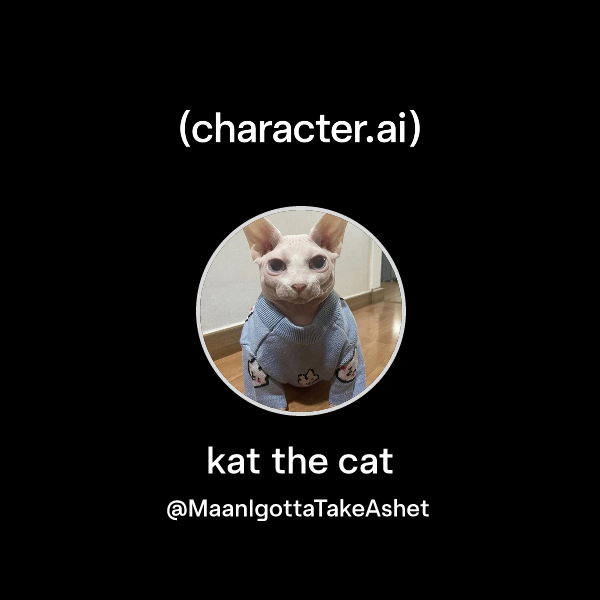 Chat with kat the cat | character.ai | AI Chat, Reimagined–Your Words ...