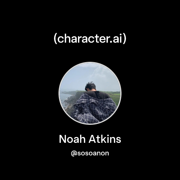 Chat with Noah Atkins | character.ai | AI Chat, Reimagined–Your Words ...