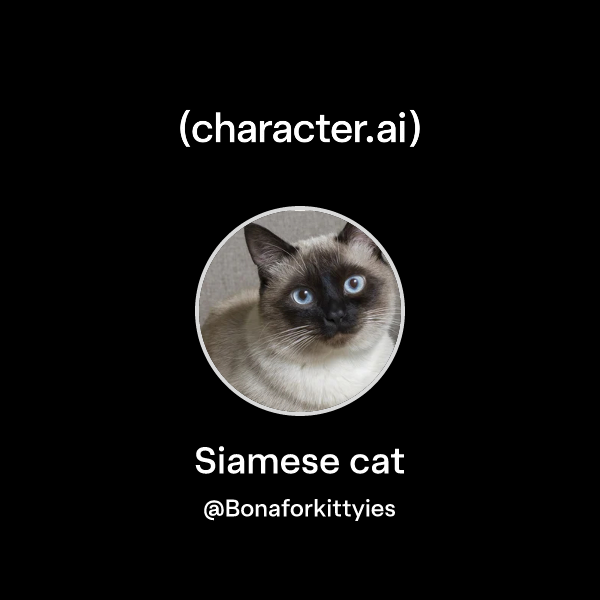 Chat with Siamese cat | character.ai | AI Chat, Reimagined–Your Words ...