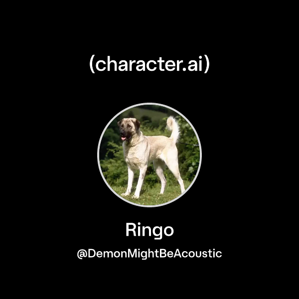 Chat with Ringo | character.ai | AI Chat, Reimagined–Your Words. Your ...