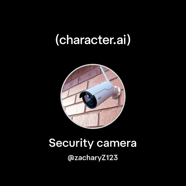 Chat with Security camera | character.ai | AI Chat, Reimagined–Your ...