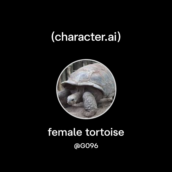 Chat with female tortoise | character.ai | Personalized AI for every ...