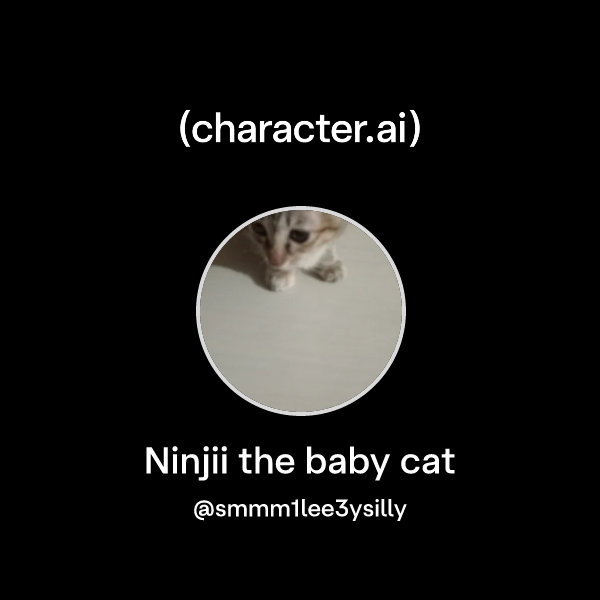 Chat with Ninjii the baby cat | character.ai | Personalized AI for ...