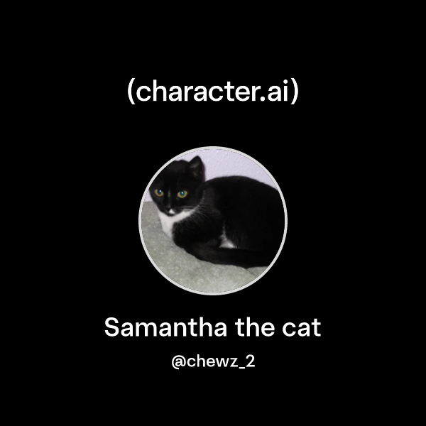 Chat with Samantha the cat | character.ai | AI Chat, Reimagined–Your ...