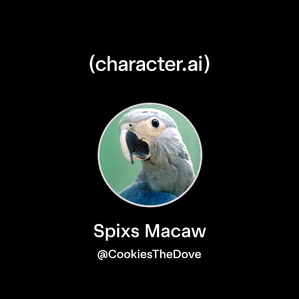 Chat with Spixs Macaw | character.ai | AI Chat, Reimagined–Your Words ...
