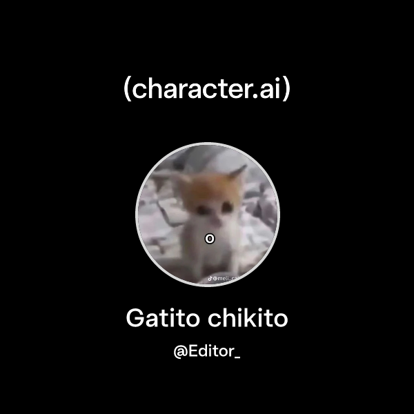Chat with Gatito chikito | character.ai | Personalized AI for every ...