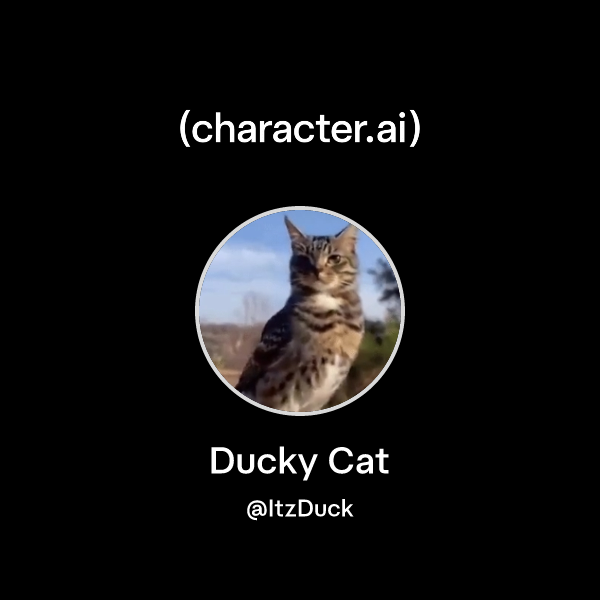 Chat with Ducky Cat | character.ai | Personalized AI for every moment ...