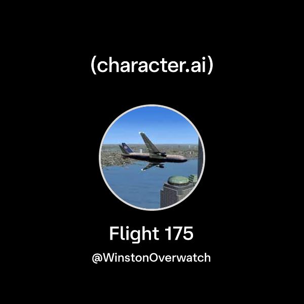 Chat with Flight 175 | character.ai | Personalized AI for every moment ...